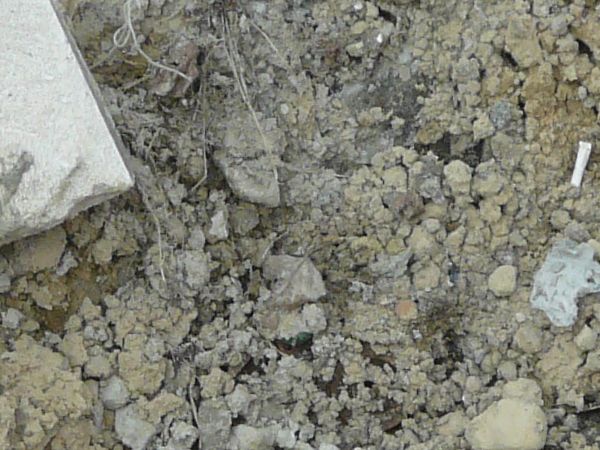 garbage on the ground texture 0021 - Texturelib